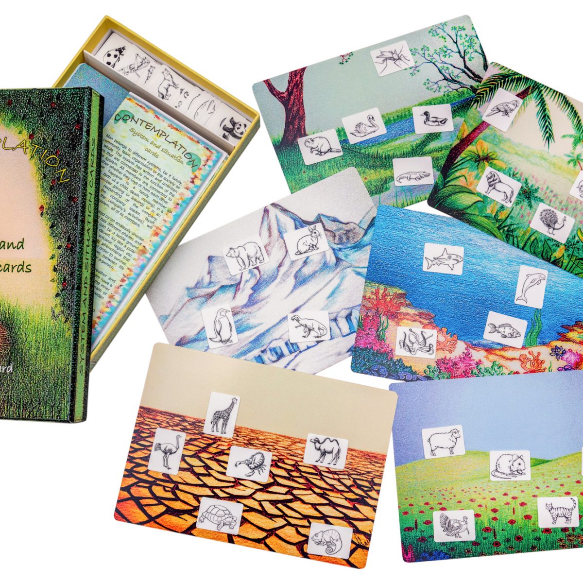 System and Situation Cards - THERAPY CARDS